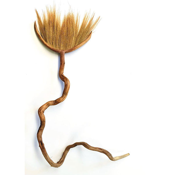 LORE with Kate Stehr – Southern Wild Co