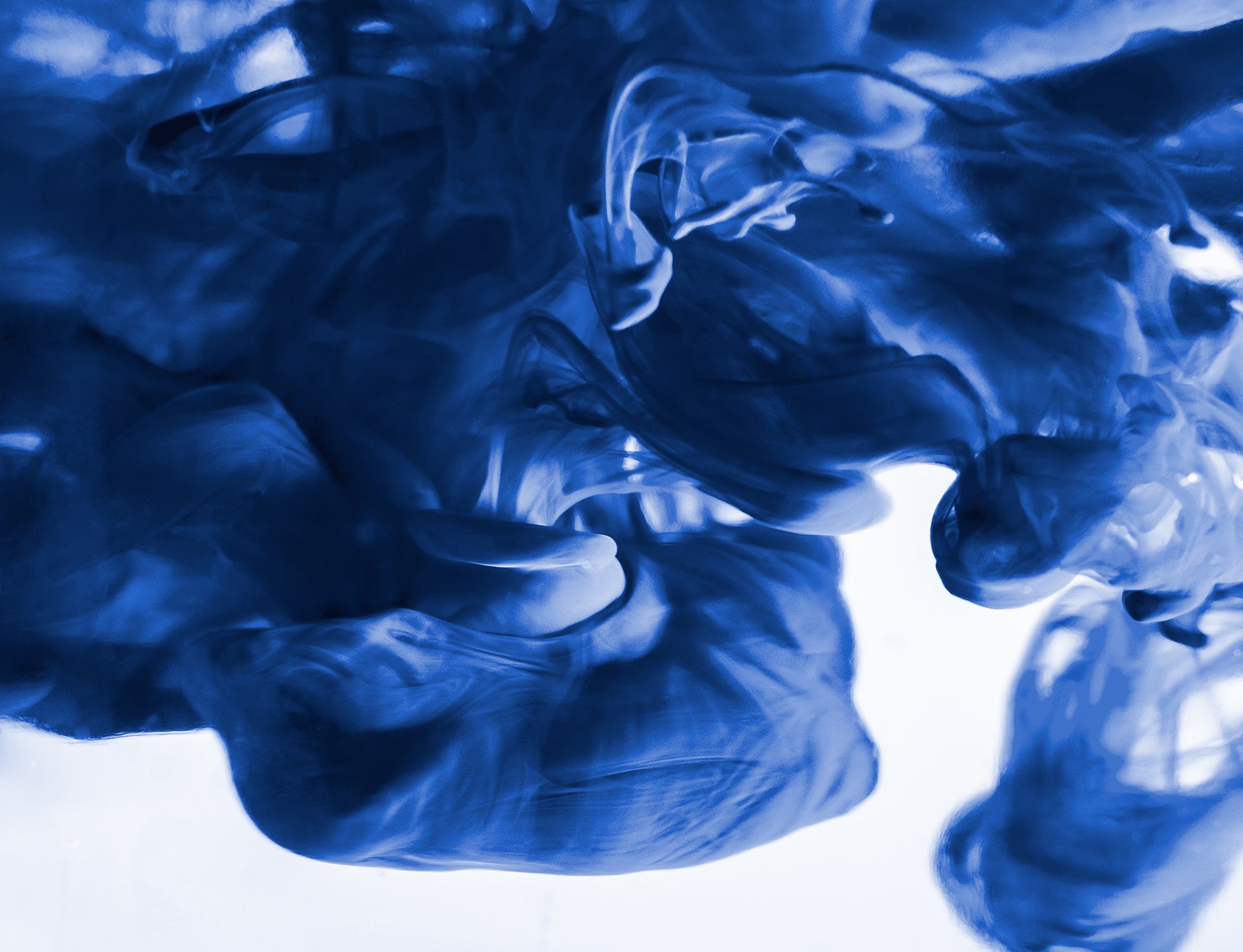 Read: Chromatopia – Southern Wild Co